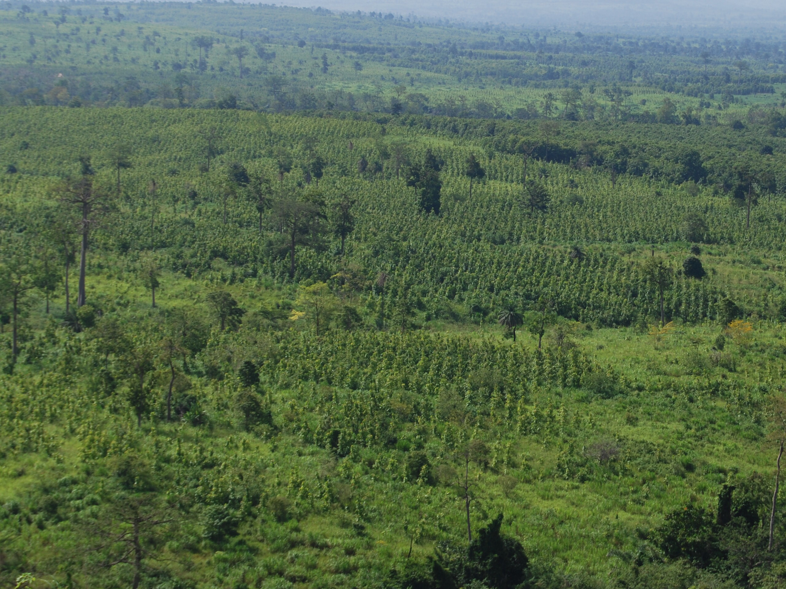 Blog: The blueprint for scalable landscape restoration projects - Form ...